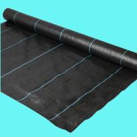 China Anti Weed Mat Plastic Mulch Film Agricultural Black Ground Cover 90gsm 1m Width for sale