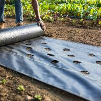 China PP Woven Anti Weed Barrier Ground Cover Fabric 90gsm 1m Width UV Treated for sale