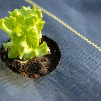 China Heavy Duty PP Woven Weed Mat 90gsm UV Resistant Ground Cover Fabric 2m Wide for sale