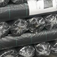 China Heavy Duty PP UV Weed Block Fabric 90gsm 1.6m Wide Anti Weed Mat Ground Cover for sale