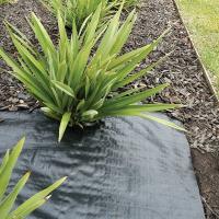 China Heavy Duty PP Woven Weed Barrier Landscape Fabric 90gsm 3-5 Year UV Resistant Ground Cover for sale