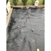 China Heavy Duty PP Woven Weed Barrier Ground Cover Fabric 90gsm UV Resistant 3-5 Year Lifespan for sale