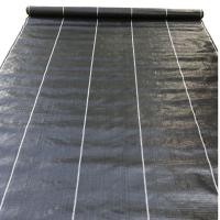 China 100% Virgin PP Woven Weed Mat Ground Cover UV Resistant 90gsm 0.5m-5m Width for sale