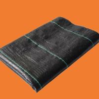 China PP Woven Weed Barrier Ground Cover Fabric 90gsm UV Treated 3-5 Year Lifespan for sale