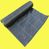 China PP Woven Weed Barrier Ground Cover Fabric 90gsm UV Treated 3-5 Year Lifespan for sale