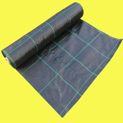 China PP Woven Weed Barrier Ground Cover Fabric 90gsm UV Treated 3-5 Year Lifespan for sale