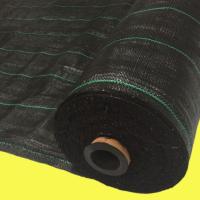 China PP Woven Weed Barrier Ground Cover Fabric 90gsm UV Treated 3-5 Year Lifespan for sale