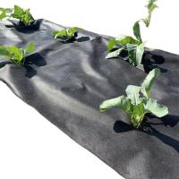 China Anti Weed Mat Plastic Mulch Film Agricultural Black Ground Cover 90gsm 1m Width for sale