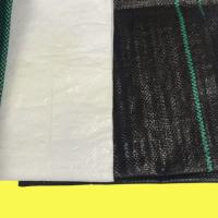 China Agricultural Black Plastic Anti Weed Mat Ground Cover 90gsm UV Treated 1m Wide for sale