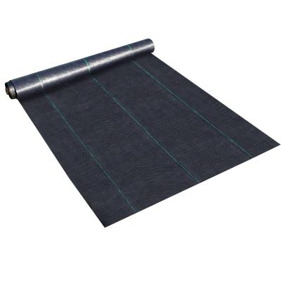China 100gsm PP Woven Weed Control Fabric Weed Mat for Landscaping 0.4m-6m Width for sale