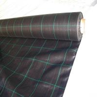 China 100gsm PP Woven Weed Control Fabric Weed Mat for Landscaping 0.4m-6m Width for sale