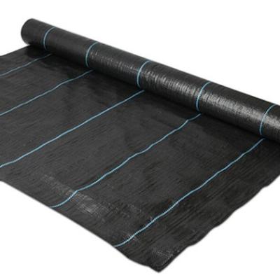 China 100% Virgin PP Woven Weed Mat Ground Cover 90gsm UV Resistant 0.4m-6m Width for sale