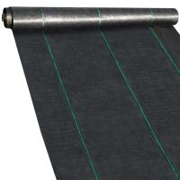 China PP Woven Weed Control Fabric 100gsm UV Resistant Ground Cover Mat 2x50m Roll for sale
