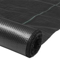 China Black with Green Line PP Woven Ground Cover Anti Weed Mat 100gsm 1m Width for sale