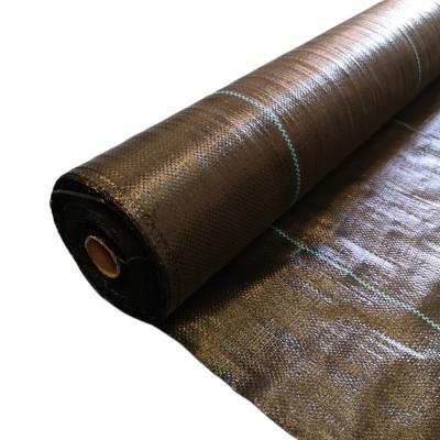 China Black with Green Line PP Woven Ground Cover Anti Weed Mat 100gsm 1m Width for sale