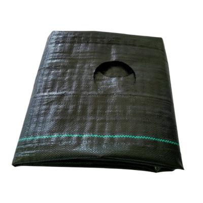 China Plastic cheap 100gsm PP fabric for ground cover and weed control mat for sale
