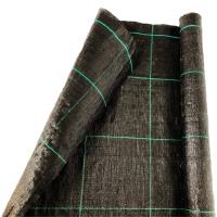 China PP Woven Anti Weed Mat Ground Cover Fabric 100gsm UV Treated 1.6m Width for sale