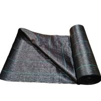 China PP Woven Anti Weed Mat Ground Cover Fabric 100gsm UV Treated 1.6m Width for sale