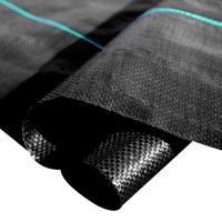 China PP Woven Anti Weed Mat Ground Cover Fabric 100gsm UV Treated 1.6m Width for sale