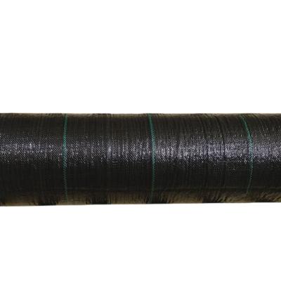 China PP Woven Anti Weed Mat Ground Cover Fabric 100gsm UV Resistant 2m Width for sale
