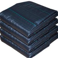 China PP Woven Ground Cover Weed Mat 100gsm UV Treated 2m Width Anti Weed Fabric for sale