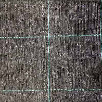China PP Woven Weed Control Mat 90gsm UV Resistant Ground Cover Fabric 1m x 50m for sale