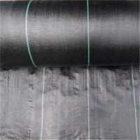 China PP Woven Weed Control Mat 90gsm UV Resistant Ground Cover Fabric 1m x 50m for sale