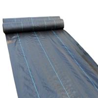 China UV Treated PP Agricultural Landscape Weed Barrier Fabric 100 GSM White Greenhouse Weed Control for sale