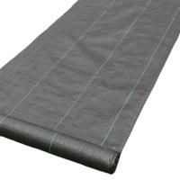 China UV Treated PP Agricultural Landscape Weed Barrier Fabric 100 GSM White Greenhouse Weed Control for sale