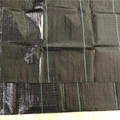 China PP Woven Garden Fabric Weed Mat 90gsm 1.6m Wide UV Resistant Weed Control Ground Cover for sale