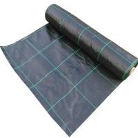 China PP Woven Garden Fabric Weed Mat 90gsm 1.6m Wide UV Resistant Weed Control Ground Cover for sale