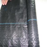 China PP Woven Garden Fabric Weed Mat 90gsm 1.6m Wide UV Resistant Weed Control Ground Cover for sale