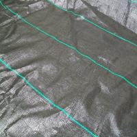 China PP Woven Weed Control Mat 90gsm Ground Cover Fabric 1.6m Wide UV Resistant Agricultural Black Plastic for sale