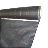 China PP Woven Weed Barrier Ground Cover Fabric 90gsm UV Resistant Anti Weed Mat 1.6m Wide for sale