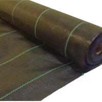 China PP Woven Weed Barrier Ground Cover Fabric 100gsm UV Resistant Anti Weed Mat for Gardening for sale