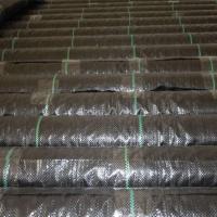 China PP Woven Landscape Fabric Ground Cover Weed Mat 90gsm 1.6m Wide UV Resistant for sale