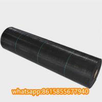 China PP Woven Anti Weed Mat Ground Cover 90gsm UV Treated 3-5 Year Lifespan for sale