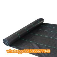 China PP Woven Anti Weed Mat Ground Cover 90gsm UV Treated 3-5 Year Lifespan for sale