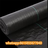 China PP Woven Anti Weed Mat Ground Cover 90gsm UV Treated 3-5 Year Lifespan for sale