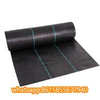 China PP Woven Anti Weed Mat Ground Cover 90gsm UV Treated 3-5 Year Lifespan for sale