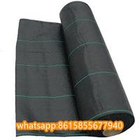 China PP Woven Anti Weed Mat Ground Cover 90gsm UV Treated 3-5 Year Lifespan for sale