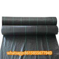China PP Woven Anti Weed Mat Ground Cover 90gsm UV Treated 3-5 Year Lifespan for sale
