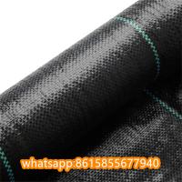 China PP Woven Anti Weed Mat Ground Cover 90gsm UV Treated 3-5 Year Lifespan for sale