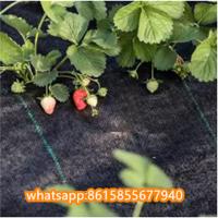 China PP Woven Anti Weed Mat Ground Cover 90gsm UV Treated 3-5 Year Lifespan for sale