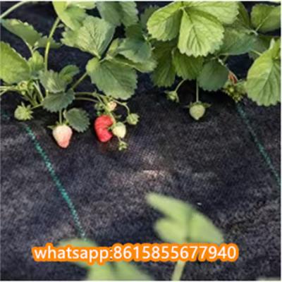 China PP Woven Anti Weed Mat Ground Cover 90gsm UV Treated 3-5 Year Lifespan for sale
