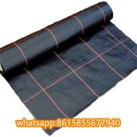 China PP Woven Anti Weed Mat Ground Cover 90gsm UV Treated 3-5 Year Lifespan for sale