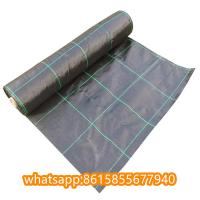 China PP Woven Anti Weed Mat Ground Cover 90gsm UV Treated 3-5 Year Lifespan for sale
