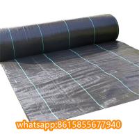 China PP Woven Anti Weed Mat Ground Cover 90gsm UV Treated 3-5 Year Lifespan for sale