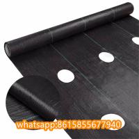 China PP Woven Anti Weed Mat Ground Cover 90gsm UV Treated 3-5 Year Lifespan for sale