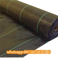 China PP Woven Anti Weed Mat Ground Cover 90gsm UV Treated 3-5 Year Lifespan for sale